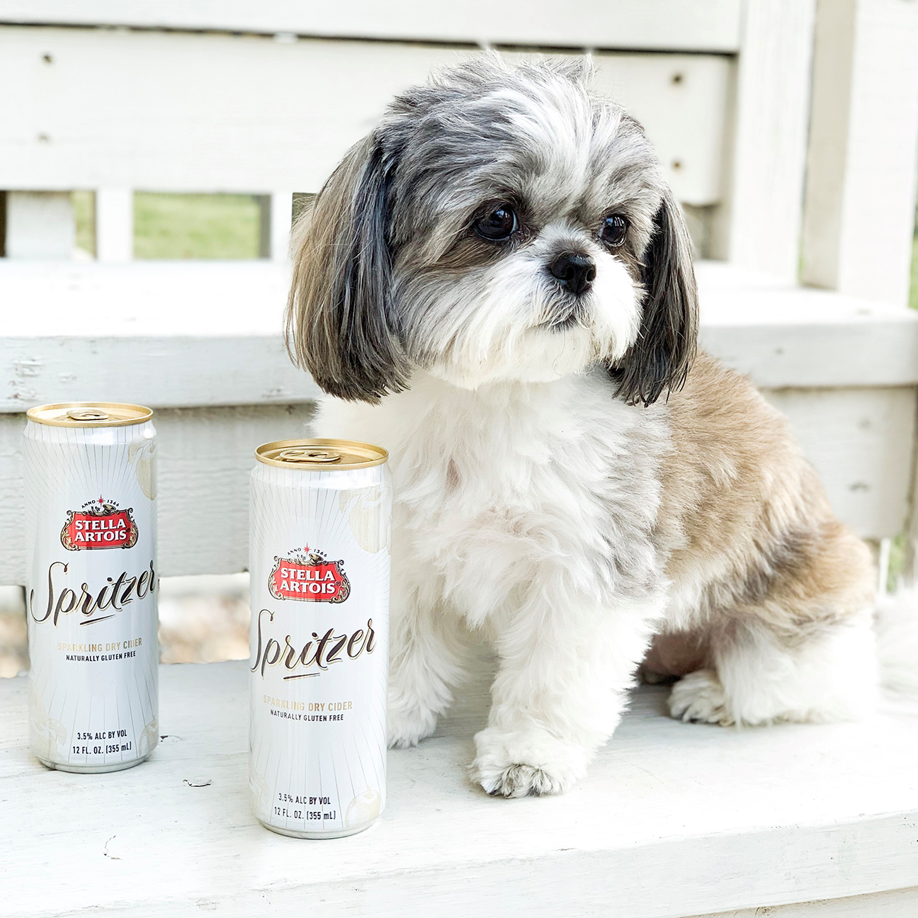 The Secret Link – Southern Eagle Distributing